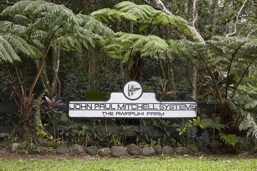 KeraTriplex Treatment | John Paul Mitchell Systems