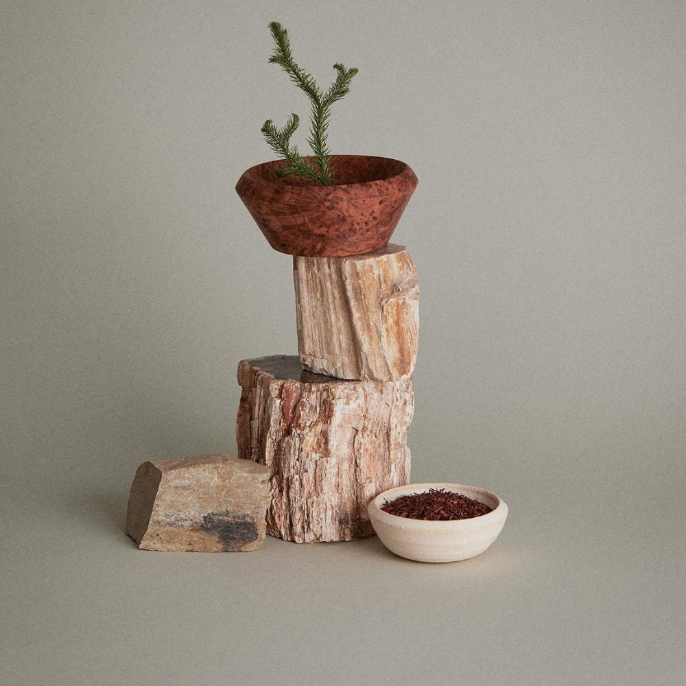 Tea Tree Special Color Shampoo | Tea Tree | JPMS