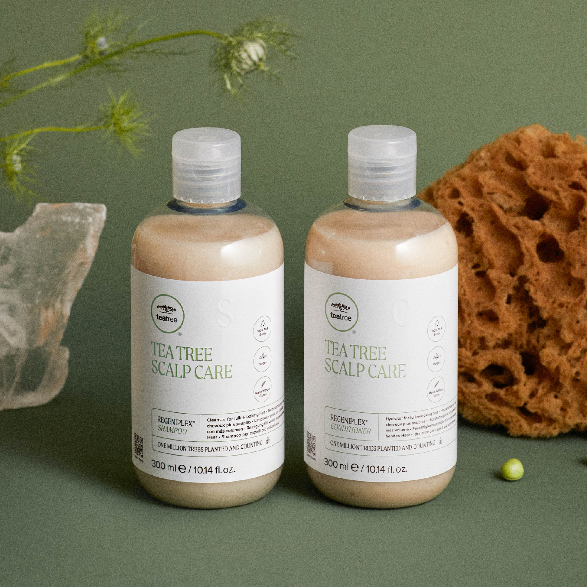 Hair + Scalp Treatments