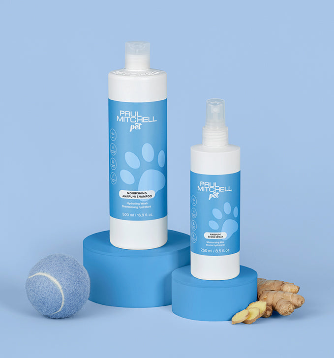Pet Grooming Products for Your Furry Friend | Paul Mitchell®